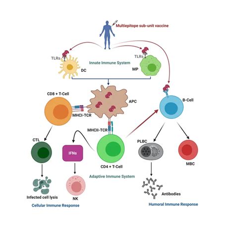 Services Dawn Of Bioinformatics Bioinformatics Services Genomics Proteomics Rnaseq