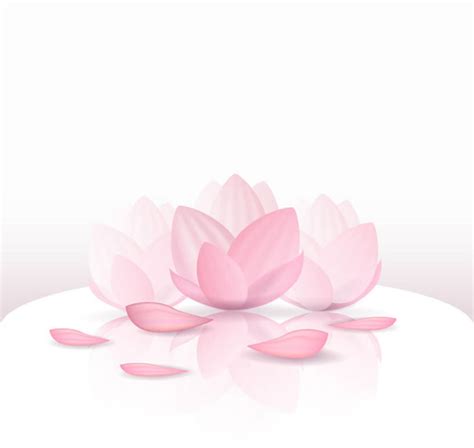 粉色荷花矢量 素材中国sccnn