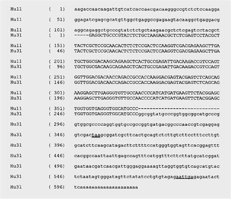 Figure 1 From Molecular Cloning Of Igebinding Fragments Of Alternaria Alternata Allergens