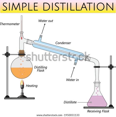 Simple Distillation Laboratory Set Separation Homogeneous Stock Vector Royalty Free 1950051133