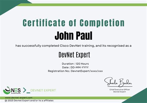 CCIE DEVNET OR DEVNET EXPERT DevNet Experts