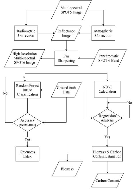 Flow Chart Diagram Showing Steps Of SPOT 6 Image Analysis Download Scientific Diagram