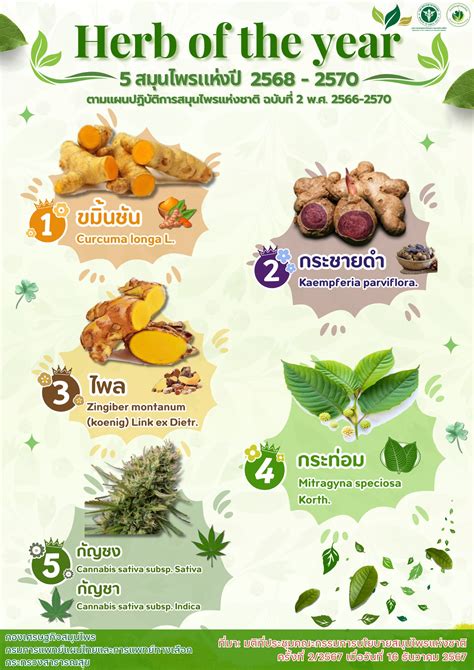 สมาคมการค้าอุตสาหก สมาคมการค้าอุตสาหกรรมกัญชงไทย Tihta