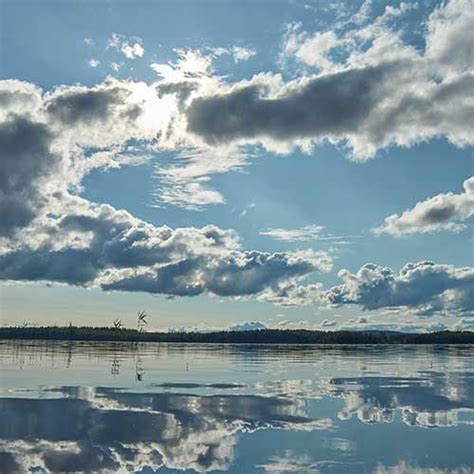 Overview Of F5 Distributed Cloud Dashboards