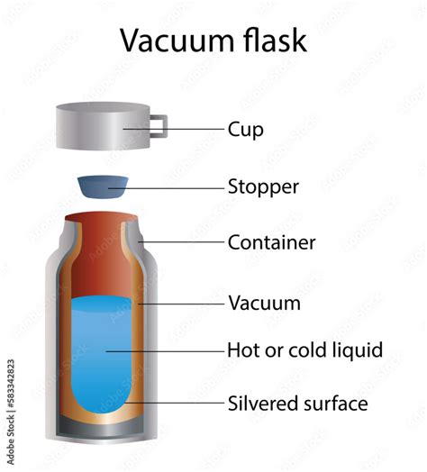 Vecteur Stock Illustration Of Physics Vacuum Flask Dewar Or Vacuum