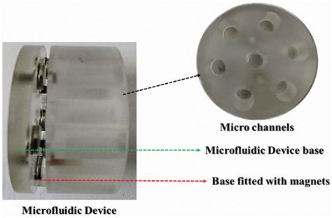 Scheme 3 Schematic Representation Of Miniaturized Portable Download Scientific Diagram