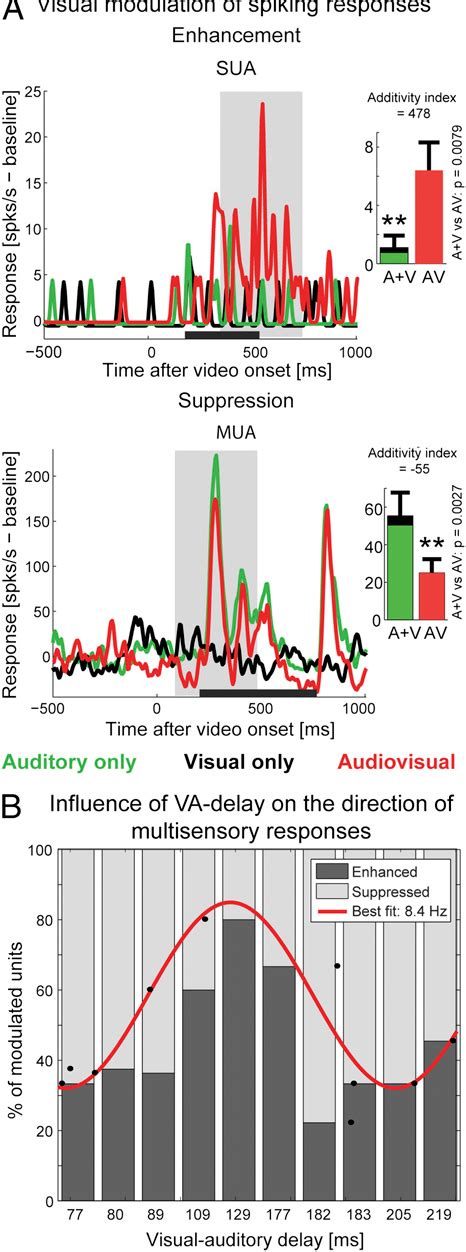 Figure 2 From Natural Asynchronies In Audiovisual Communication Signals Regulate Neuronal