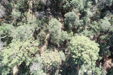 Error O0104 Network Error Code400 Pix4dmapper Pix4d Community