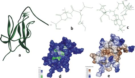 Structure Of Jev Ed3 Protein A Secondary Structure Of 1pjw Pdb Where Download Scientific