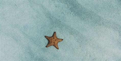 Catharsis Computing Club August 2022