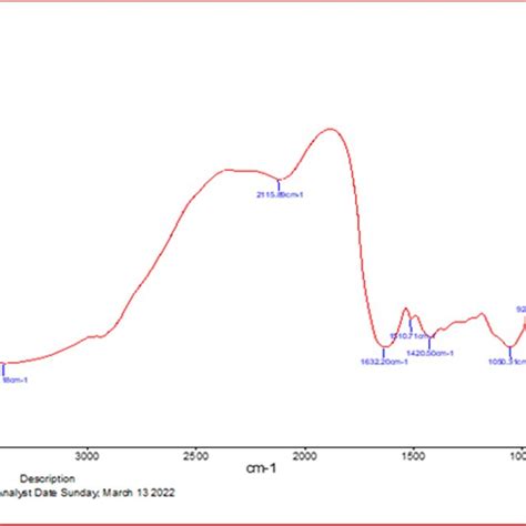Live Protoscolices After Staining With 01 Eosin A Dead