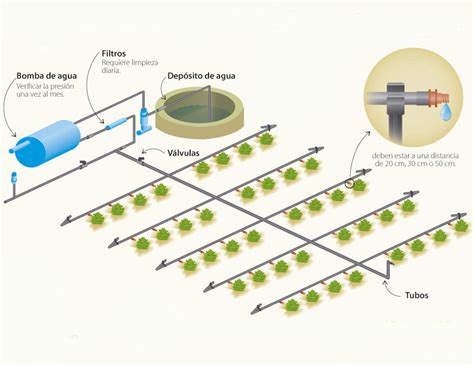 Componentes InstalaciÓn Riego Por Goteo Sistema De Riego Por Goteo Riego Por Goteo Casero