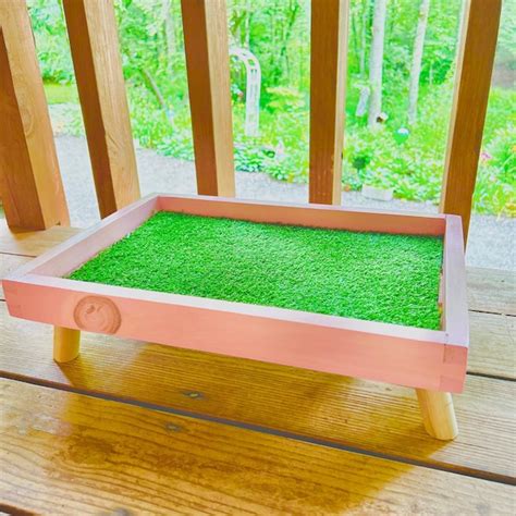 Elevated Cat Bed Etsy