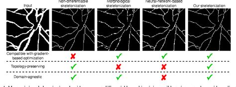 A Skeletonization Algorithm For Gradient Based Optimization Paper And Code