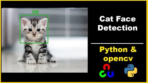 Cat Face Detection Python And Opencv Youtube