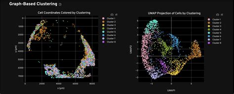 Segment Cells With Cellpose3 10x Genomics