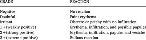International Contact Dermatitis Research Group Icdrg Grading