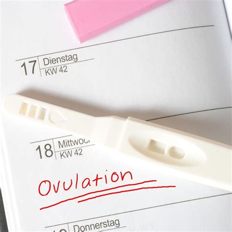 Calculadora De Ovulación Saca Provecho A Tus Días Fértiles