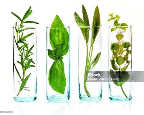 신선한 허브로 에센셜 오일 병을 닫습니다 세이지 로즈마리 달콤한 바질 잎 페퍼민트 가지가 흰색 배경에 격리되어 있습니다 건강관리와 의술에 대한 스톡 사진 및 기타 이미지