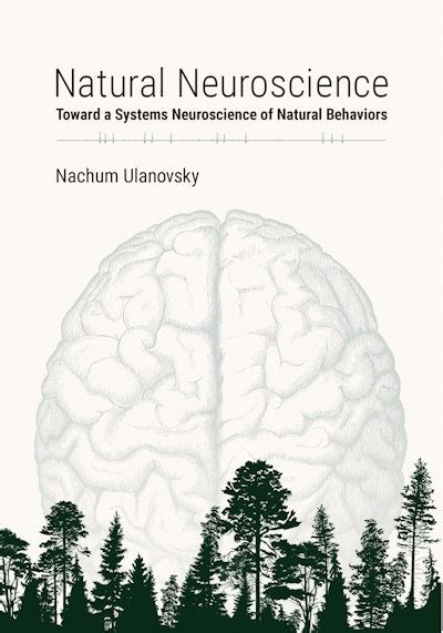 Natural Neuroscience By Nachum Ulanovsky Penguin Books New Zealand