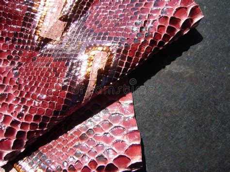 Red Skin Of Python Snake Stock Photo Image Of Style