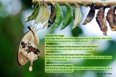 Image Classification Using Few Shot Learning By Aryan Jadon Medium