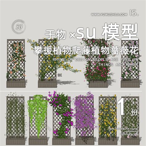 藤本攀援植物爬藤蔷薇三角梅爬山虎垂直绿化SU模型216 艺术设计日志 于物设计