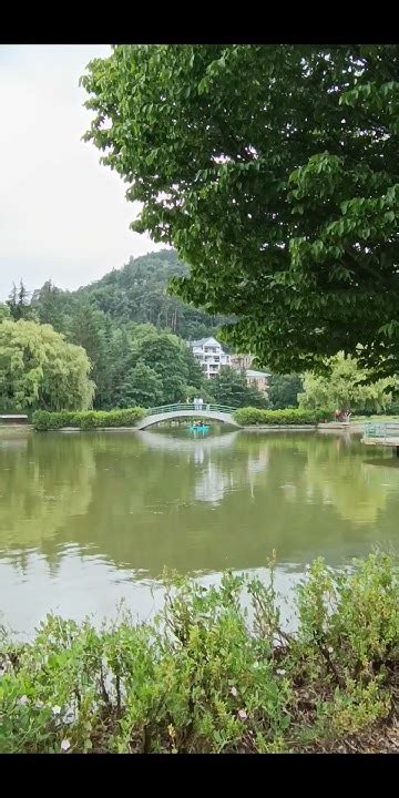 Դիլիջան դիլիջան ամառ հանգիստ Youtube