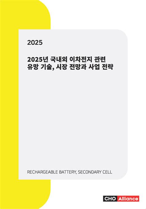 2025년 국내외 이차전지 관련 유망 기술 시장 전망과 사업