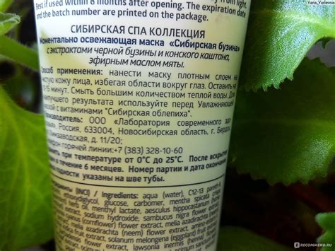 Маска для лица Siberian Wellness (Сибирское здоровье) Сибирская бузина ...