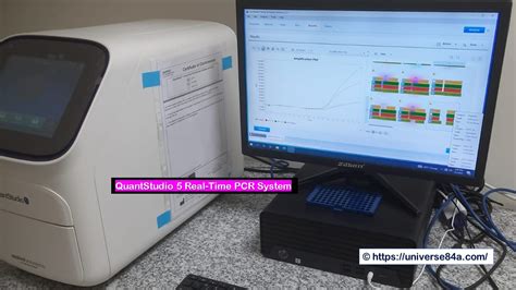 Quantstudio Real Time Pcr System Introduction Types Uses