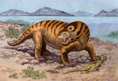 Cynognathus Crateronotus By Willemsvdmerwe On Deviantart