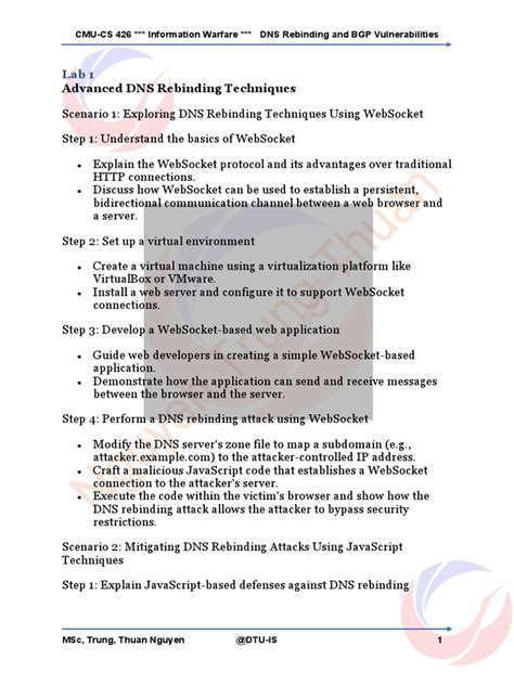 Lab10 Dns Rebinding Bgp Pdf Domain Name System Cybercrime