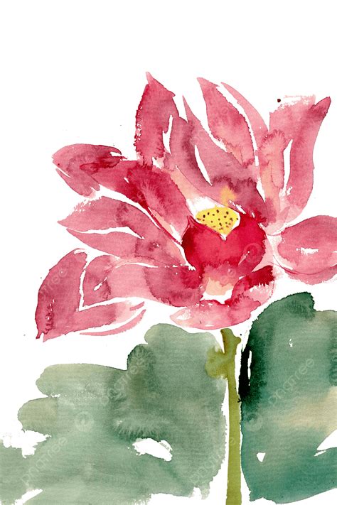 아름다운 일러스트 연꽃 꽃잎 수묵화 부드럽고 아름다운 로터스 Png 일러스트 및 Psd 이미지 무료 다운로드 Pngtree