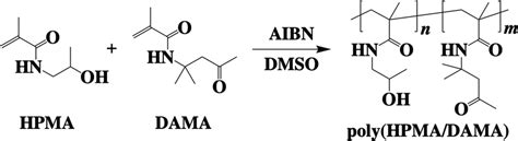 Synthesis Of The Copolymer Of 2 Hydroxypropyl Methacrylamide Hpma And Download Scientific