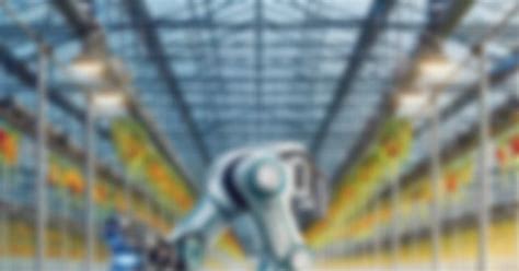 고성군 파프리카 선별장 로봇 센서 오인으로 40대 남성 압착 사고로 사망