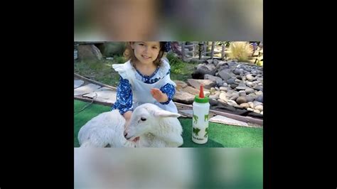 Farm Girl Youtube