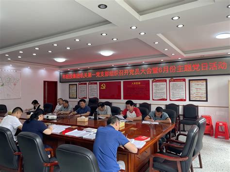 市经投集团机关第一党支部开展6月份主题党日活动中国共产党