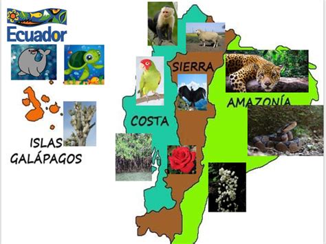 Regiones Del Ecuador Flora Y Fauna Sexiz Pix Sexiezpix Web Porn