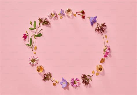 에센셜 오일 병 유향 장미 및 원형 복사 공간이 있는 다양한 여름 꽃이 있는 분홍색 파스텔 배경 사진 Unsplash의 마사지 오일 이미지