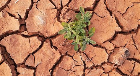 Ngi Digitalization And Numerical Analysis