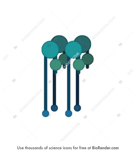 Free Epcam Tetramer Icons Symbols And Images Biorender