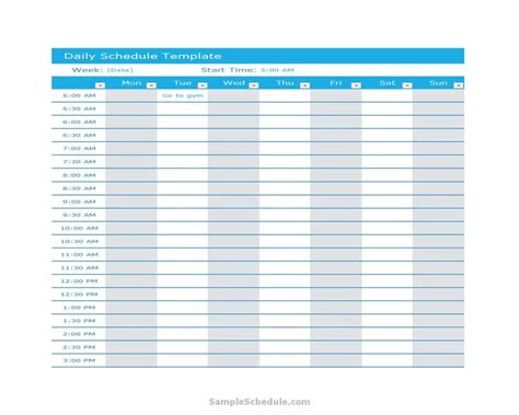 11 Daily Schedule Template Excel Free Sample Schedule