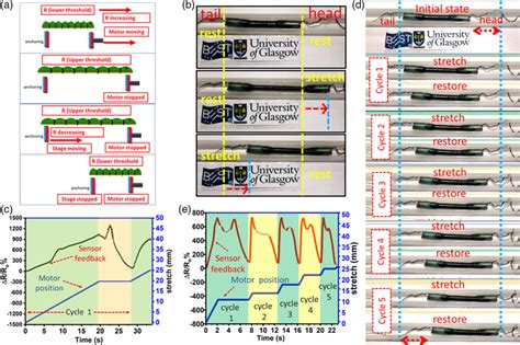 A Concept And Sequence Of Earthworm Soft Robot Locomotion B