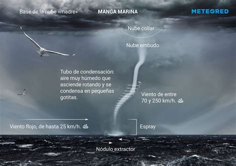¿qué Es Una Tromba Marina