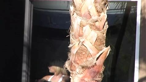 Blond Picked Up At Cafe Blonde Blonde Porn By Faphouse Xhamster