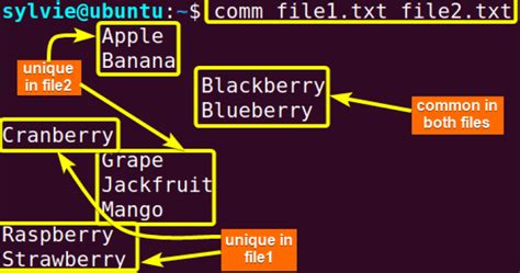The “comm” Command In Linux 10 Practical Examples