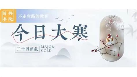岁末大寒至，静候春归来 知乎