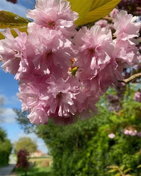 Adele Winkley Adeleconcepttocreation • Instagram Photos And Videos