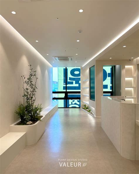 플랜트 디자인 스튜디오 발루 Botanic Artist 🍃 플랜테리어 식물인테리어 조경인테리어 발루가든 실내조경 사무실조경 오피스조경 조화인테리어